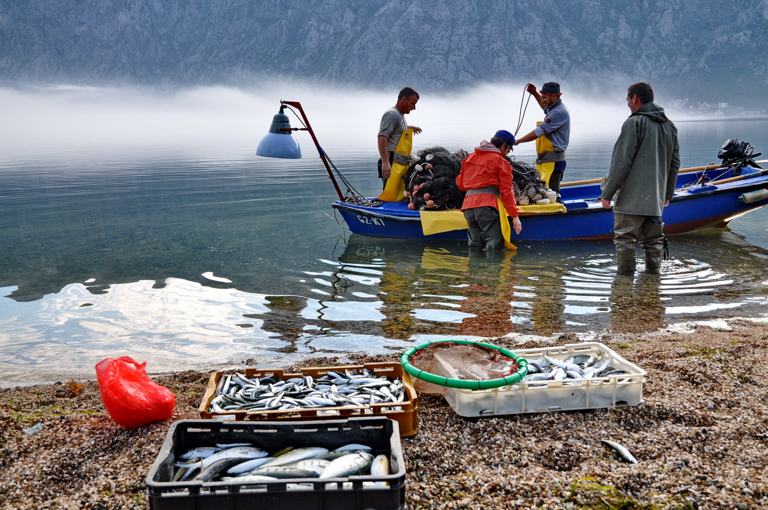 Predstavili projekat “Riba Hrvatske – Jedi što vrijedi” | Boka News