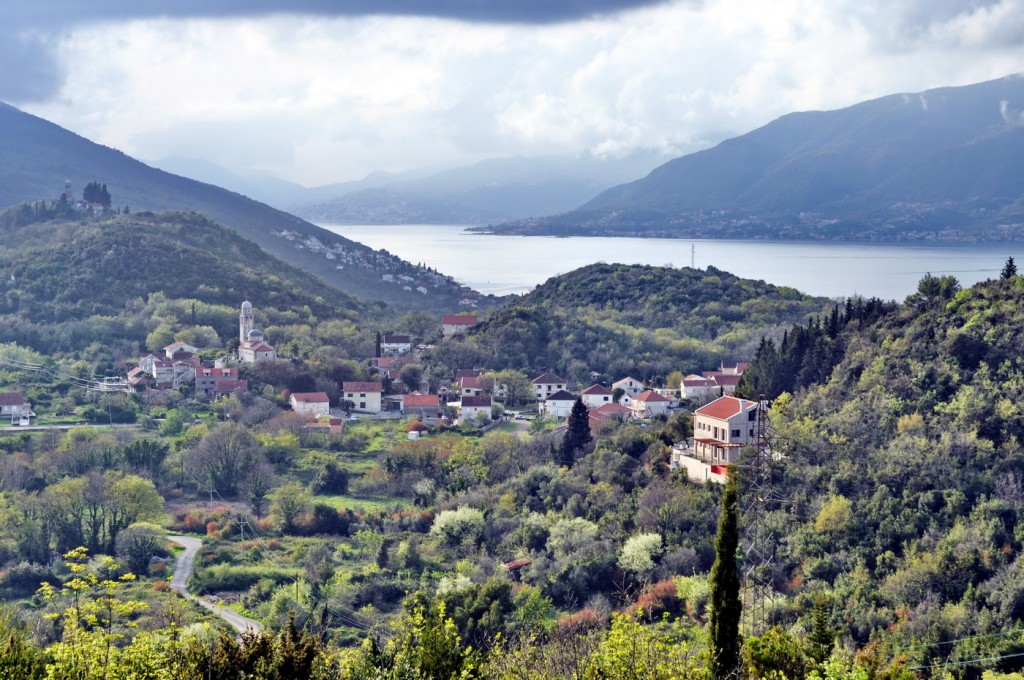 Krtoli – divlje svinje uništile igralište | Boka News