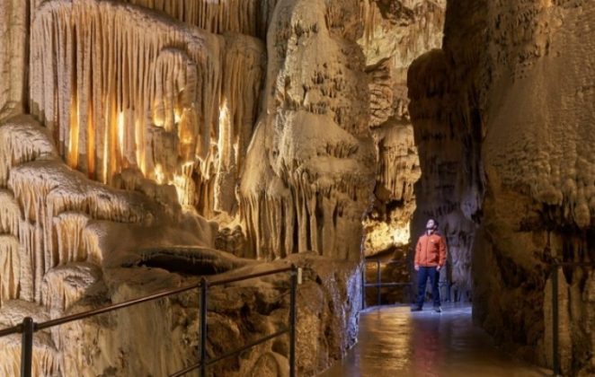 Rekordna godina za Postojnsku jamu | Boka News